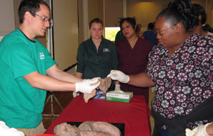 Young Scientist Program celebrates 20 years - The Source - WashU