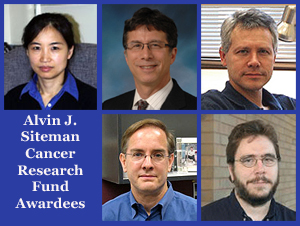 Siteman Cancer Research Fund grants $2 million for unique approaches to ...