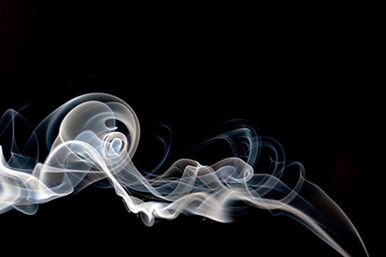 Odor receptors discovered in lungs - The Source - WashU