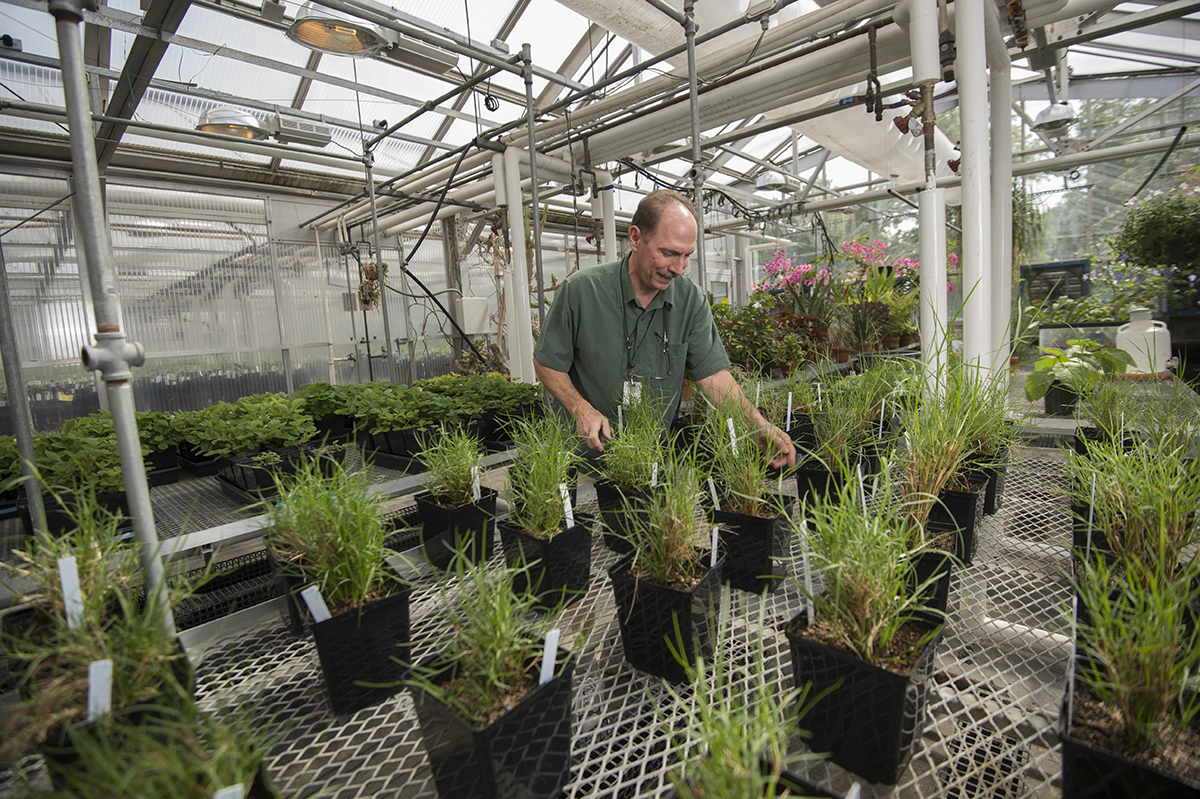 Washington People: Mike Dyer - The Source - WashU