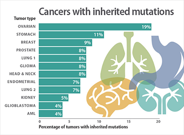 Study uncovers inherited genetic susceptibility across 12 cancer types ...