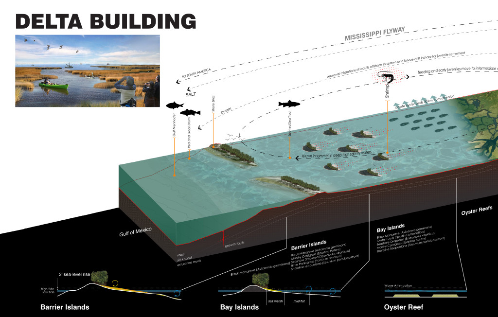 A radical plan to save the delta - The Source - WashU