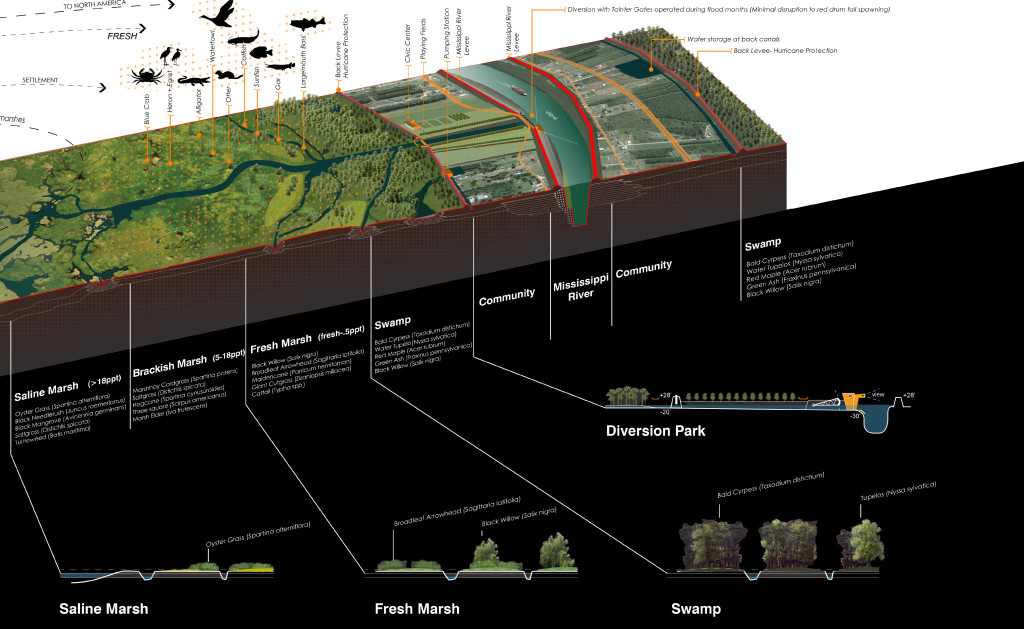 A radical plan to save the delta - The Source - WashU
