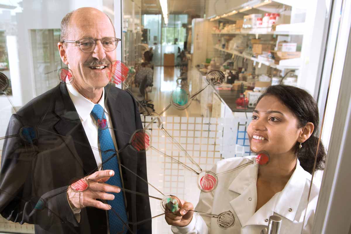 Washington People: David H. Perlmutter - The Source - WashU