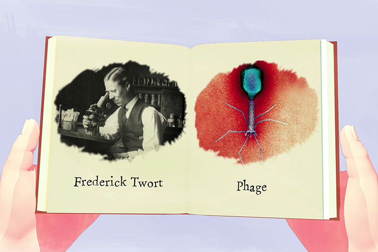 Phage: friend or foe? - The Source - WashU