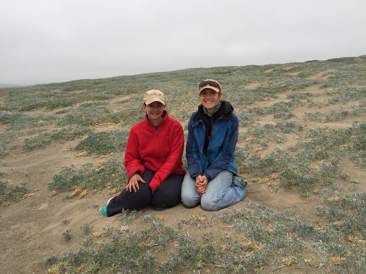 Scientists follow seeds to solve ecological puzzle - The Source - WashU