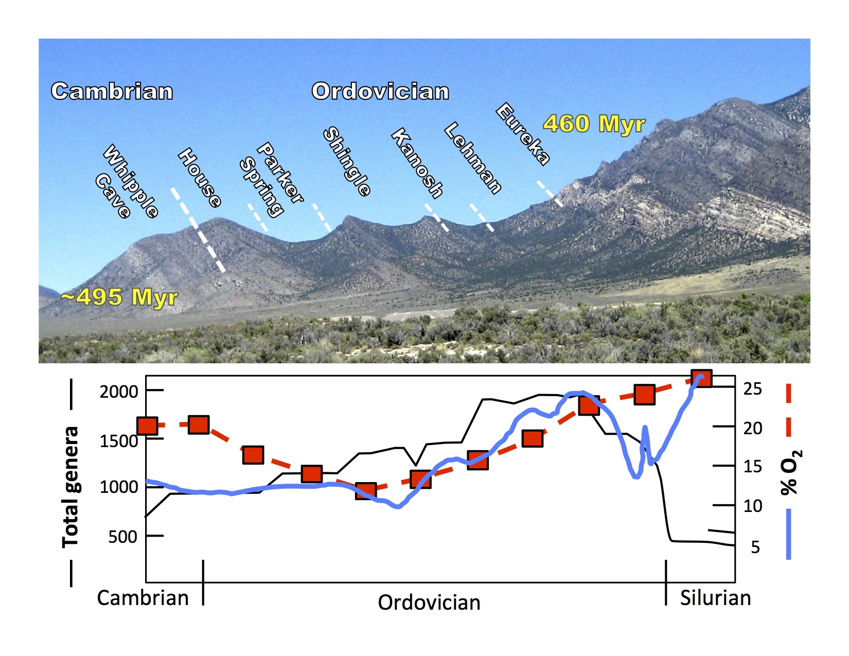 Oxygen levels link to ancient explosion of life, researchers find - The ...