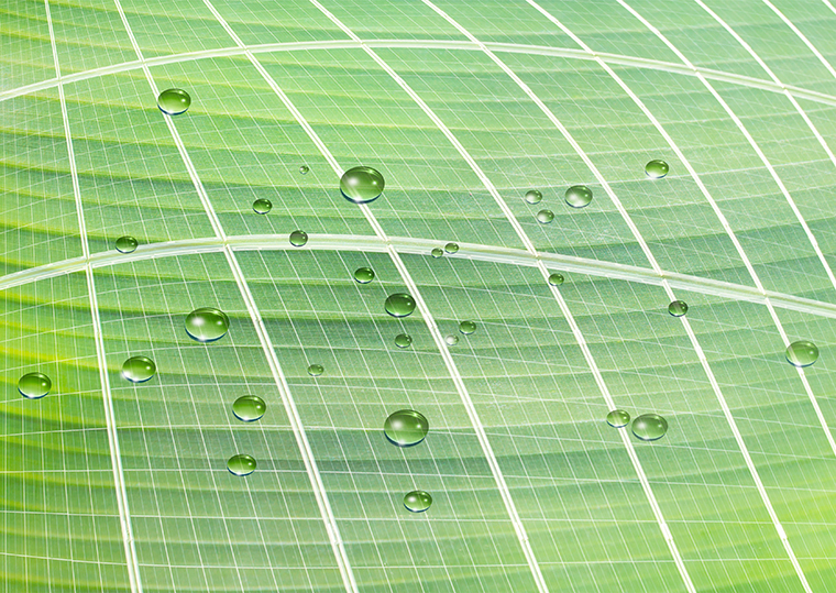 Water world - The Source - WashU