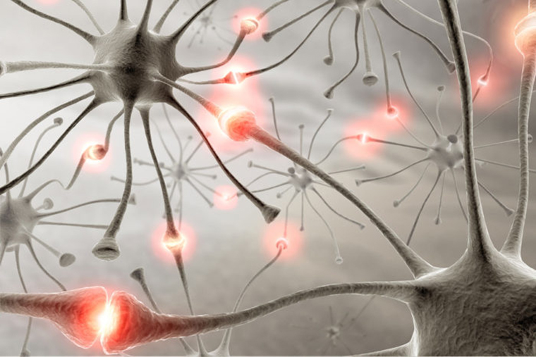 In autism, too many brain connections may be at root of condition - The ...