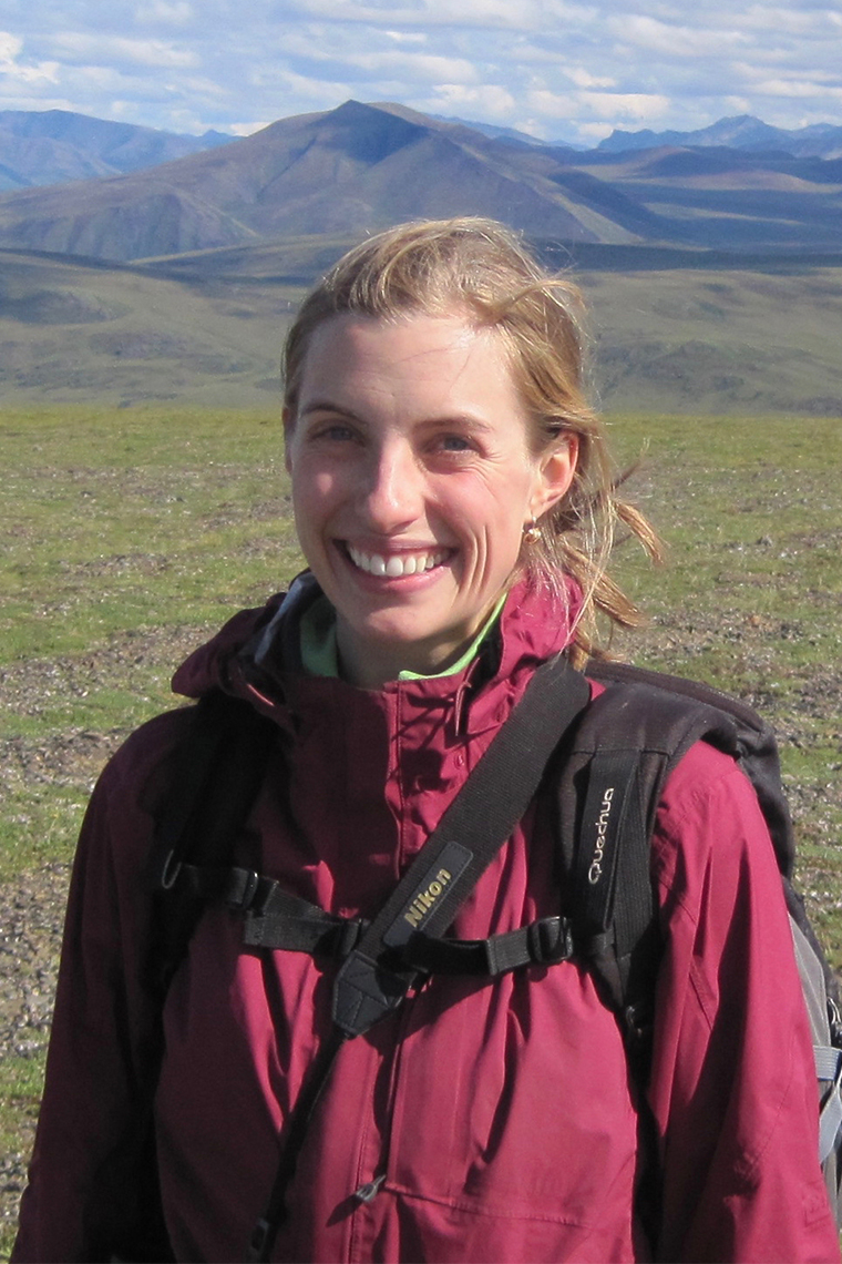 Warming alters predator-prey interactions in the Arctic - The Source ...