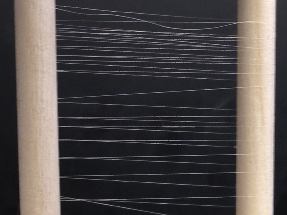 Bigger proteins, stronger threads: Synthetic spider silk - The Source ...
