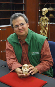 Dating the 'Cradle': New timeline sheds light on early human history ...