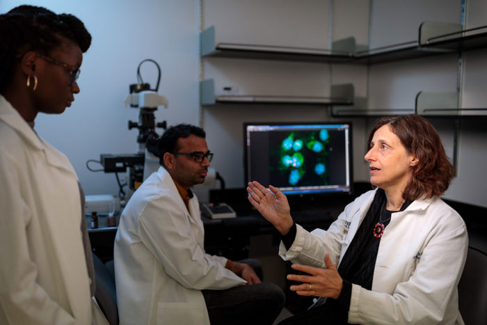 Philips named co-director of infectious diseases division - The Source ...