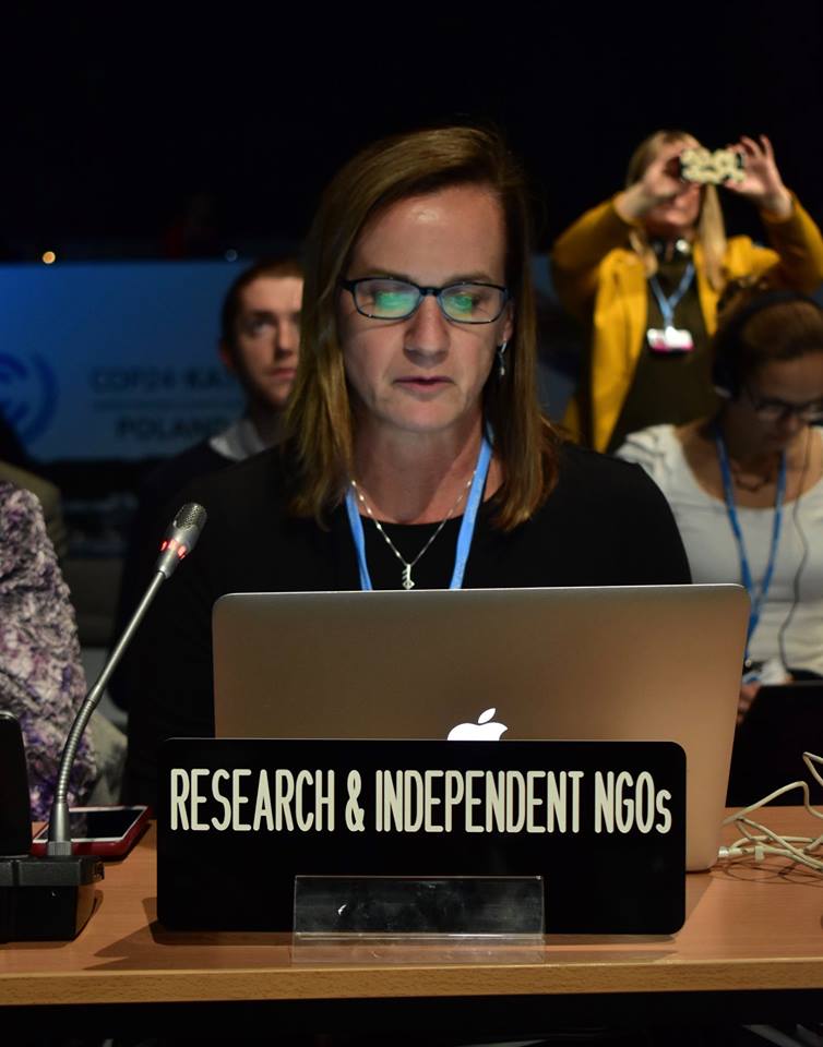 Students participate in U.N. global climate summit - The Source - WashU