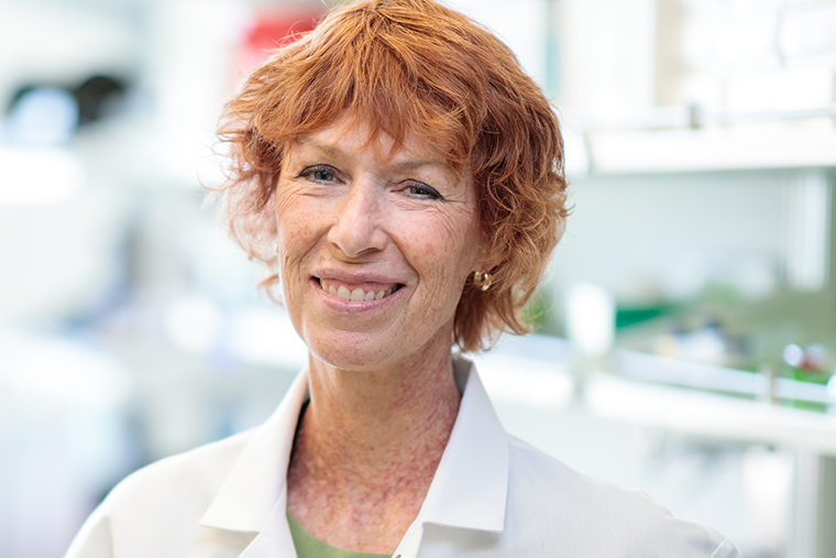 Fagan receives lifetime achievement award from Alzheimer’s Association ...