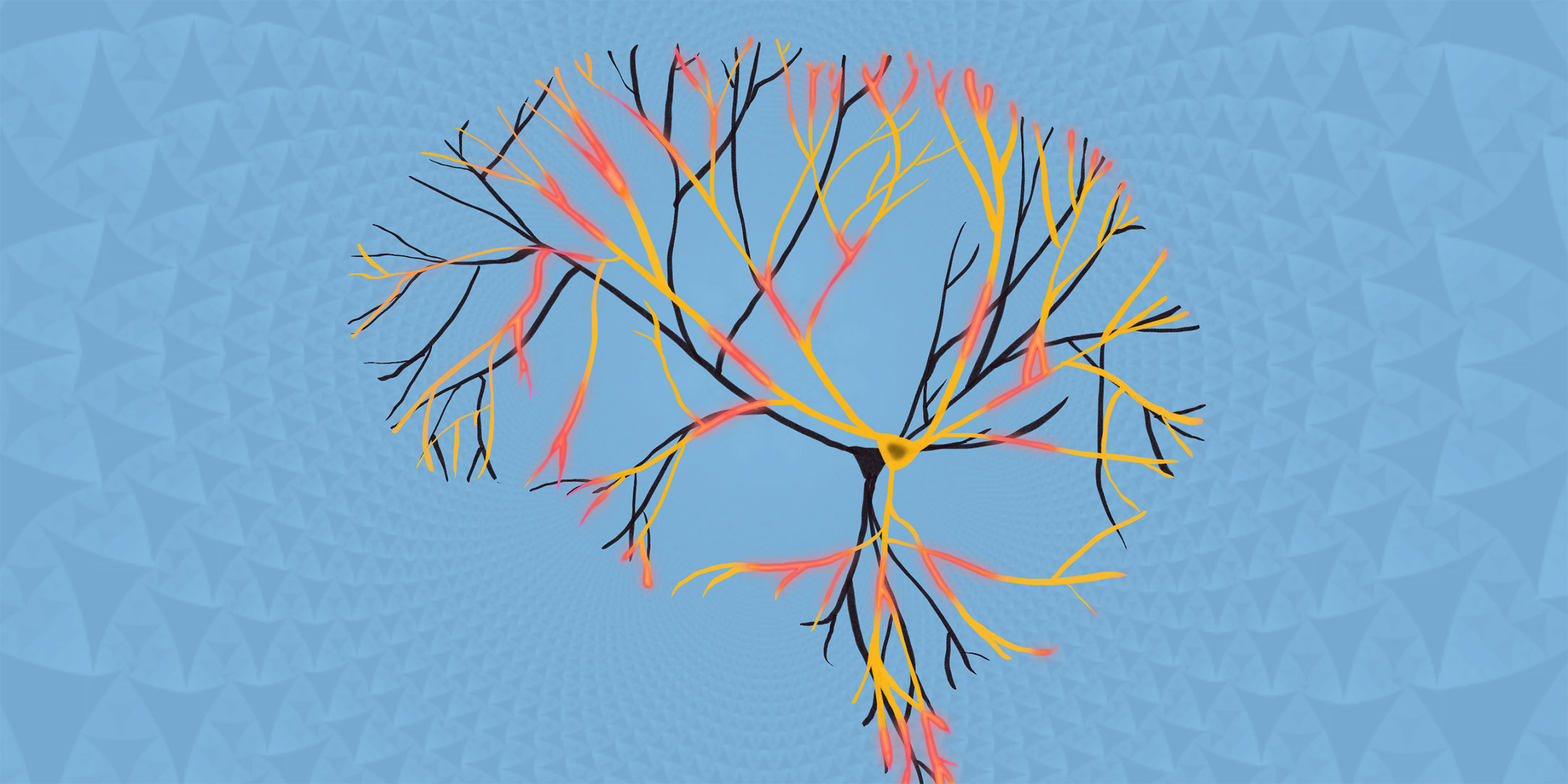 The fractal brain, from a single neuron’s perspective - The Source - WashU