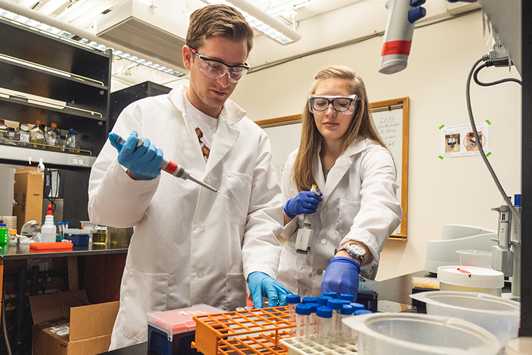 Jackrel lab makes protein finding that could help fight disease - The ...