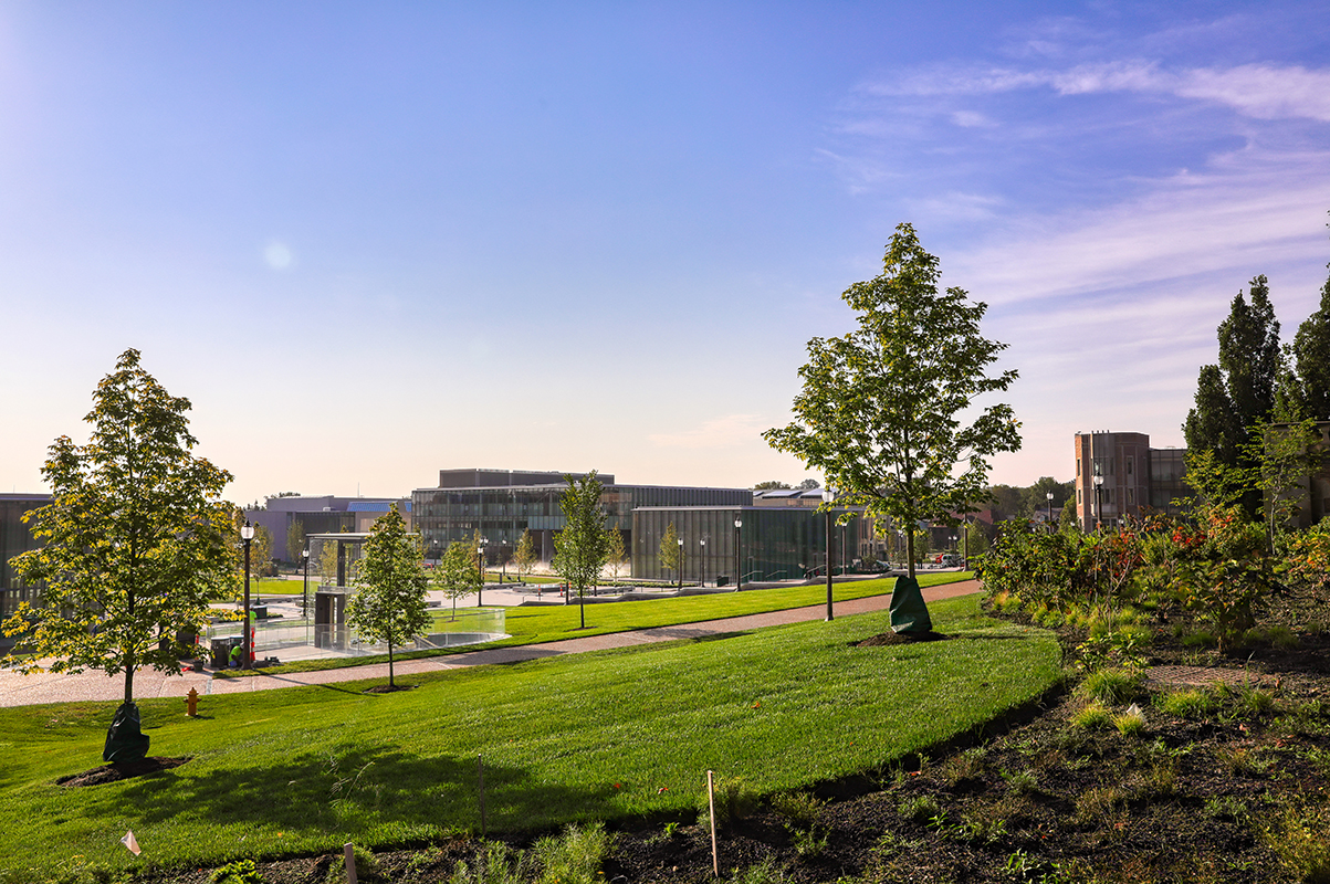 10th annual Arbor Tour showcases east end trees - The Source - WashU
