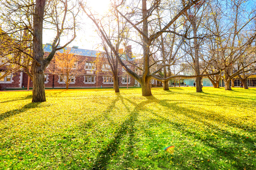 WashU receives AASHE STARS gold accreditation - The Source - WashU