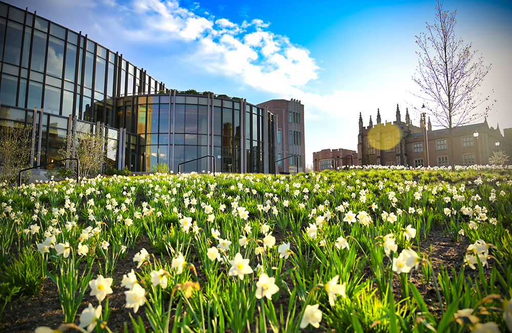 Sustainability Doesn T Stop The Source Washu