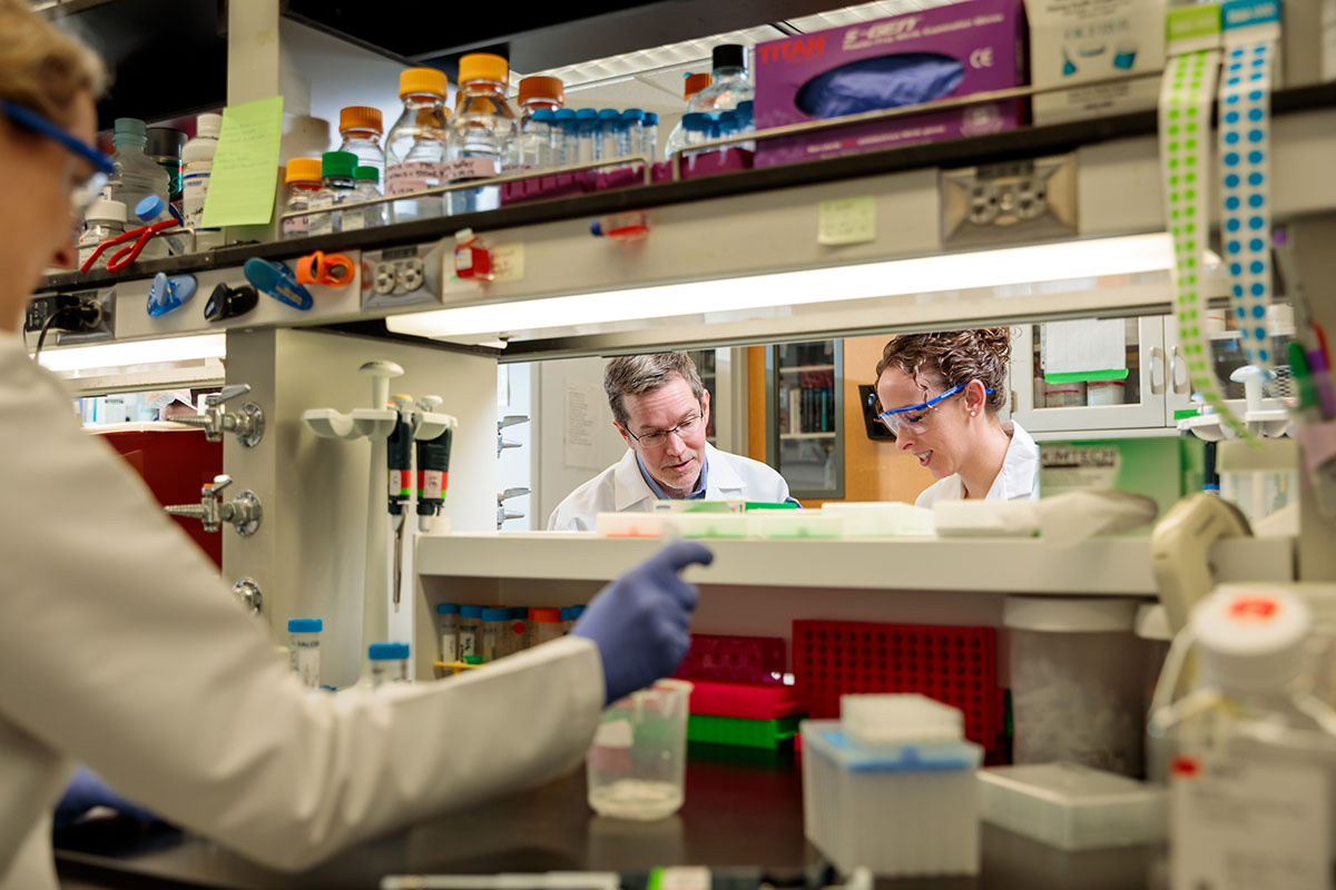 ALS, rare dementia share genetic link - The Source - WashU