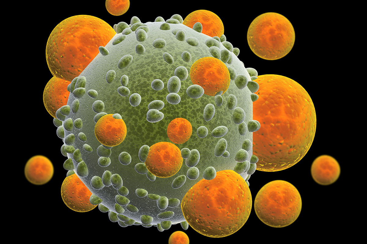 New discovery could help improve cancer vaccines - The Source - WashU