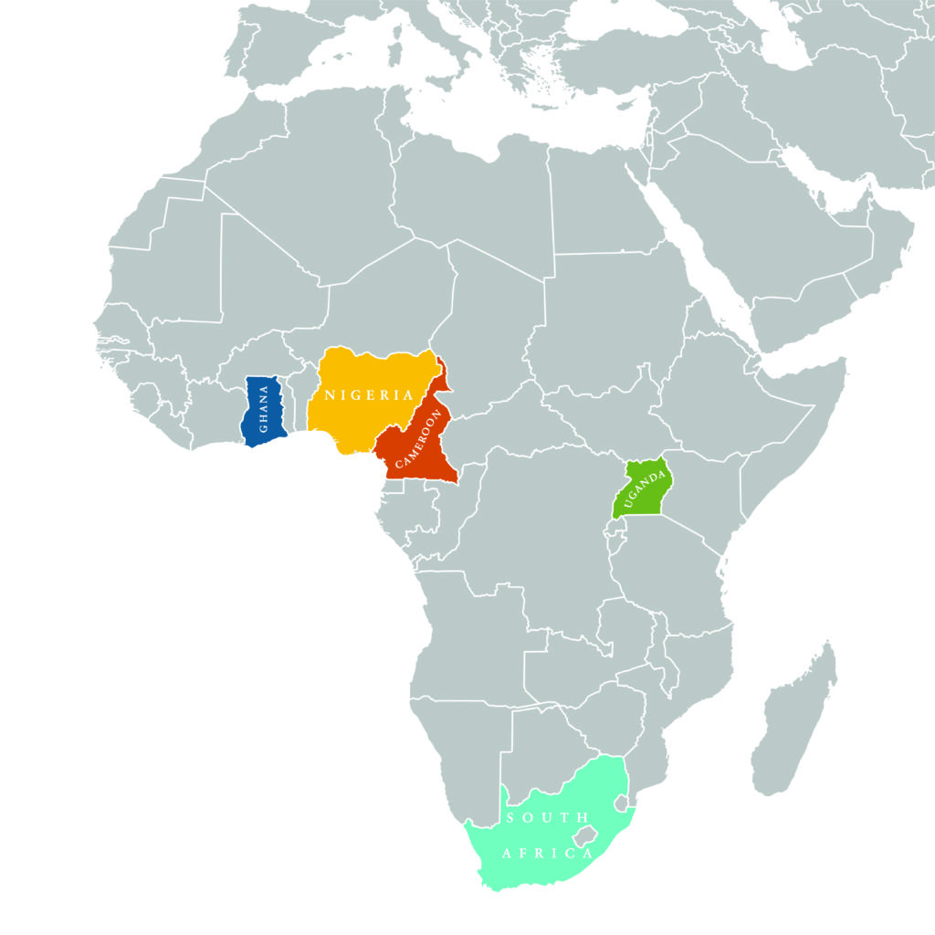 Africa Initiative awards new round of pilot grants - The Source - WashU