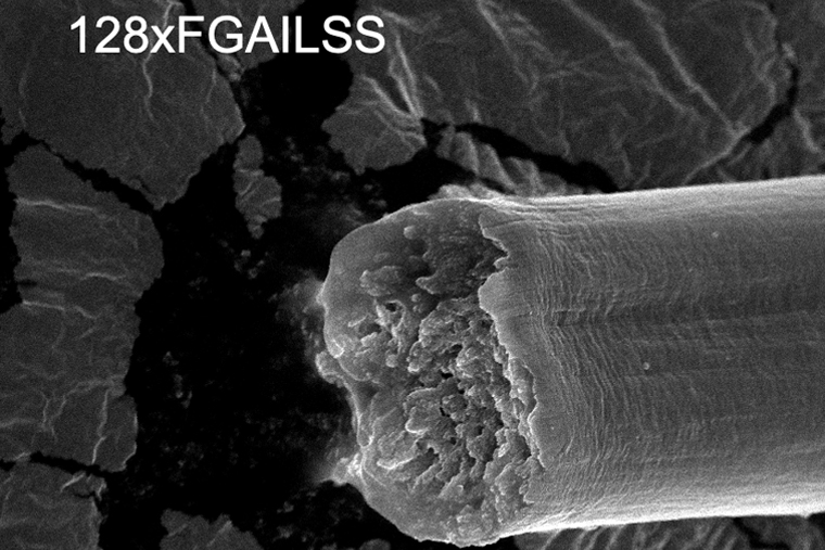 Microbially produced fibers: stronger than steel, tougher than Kevlar ...