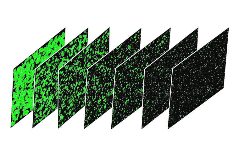 Connective issue: AI learns by doing more with less - The Source - WashU