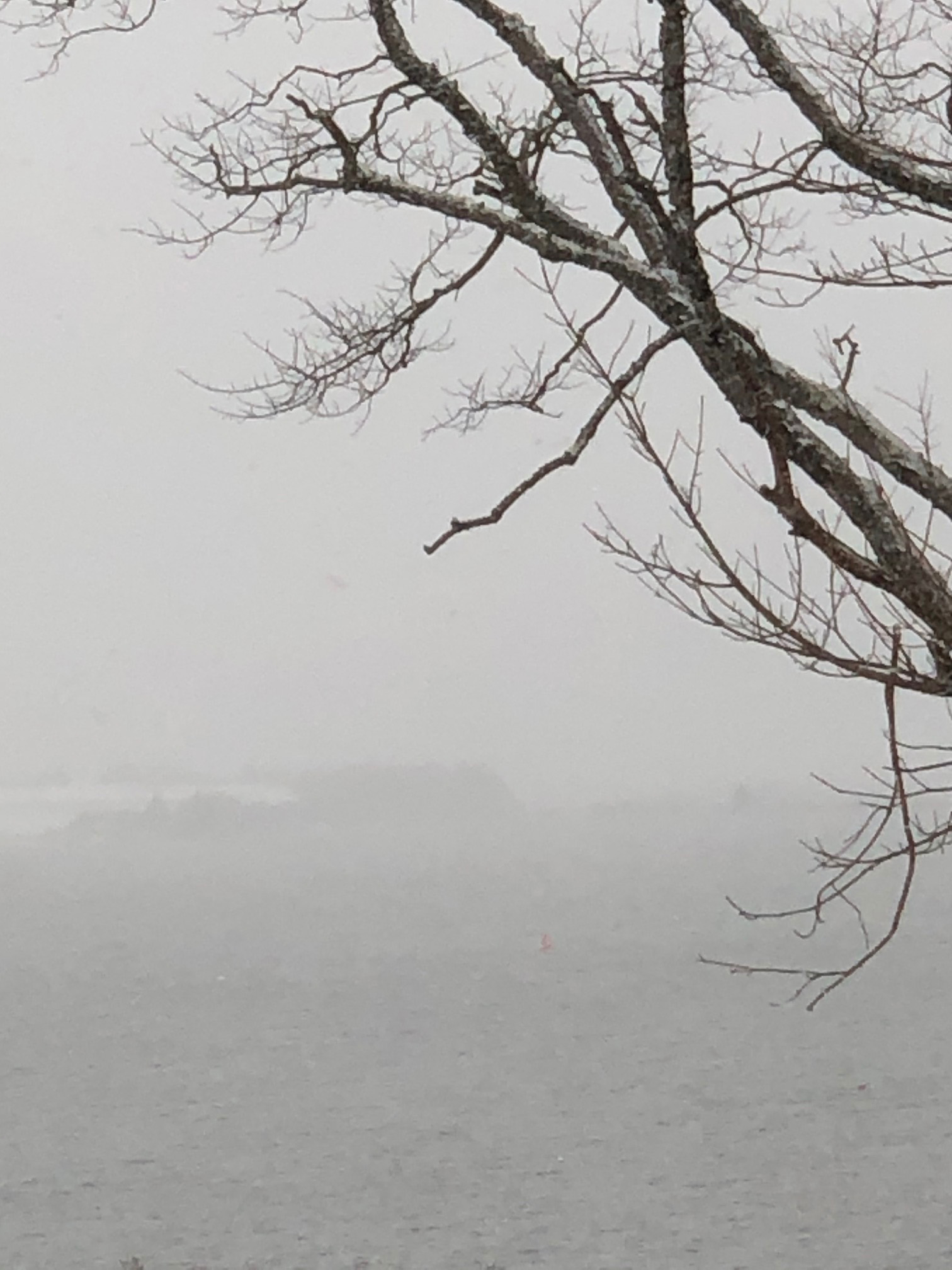 Obituary: Mark S. Weil, emeritus professor of art history, 82 - The ...