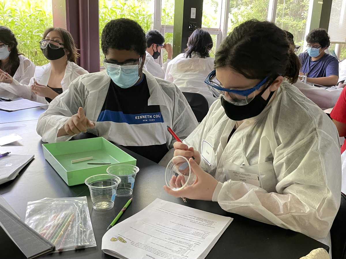 WashU’s College Prep Program welcomes new cohort of high school ...