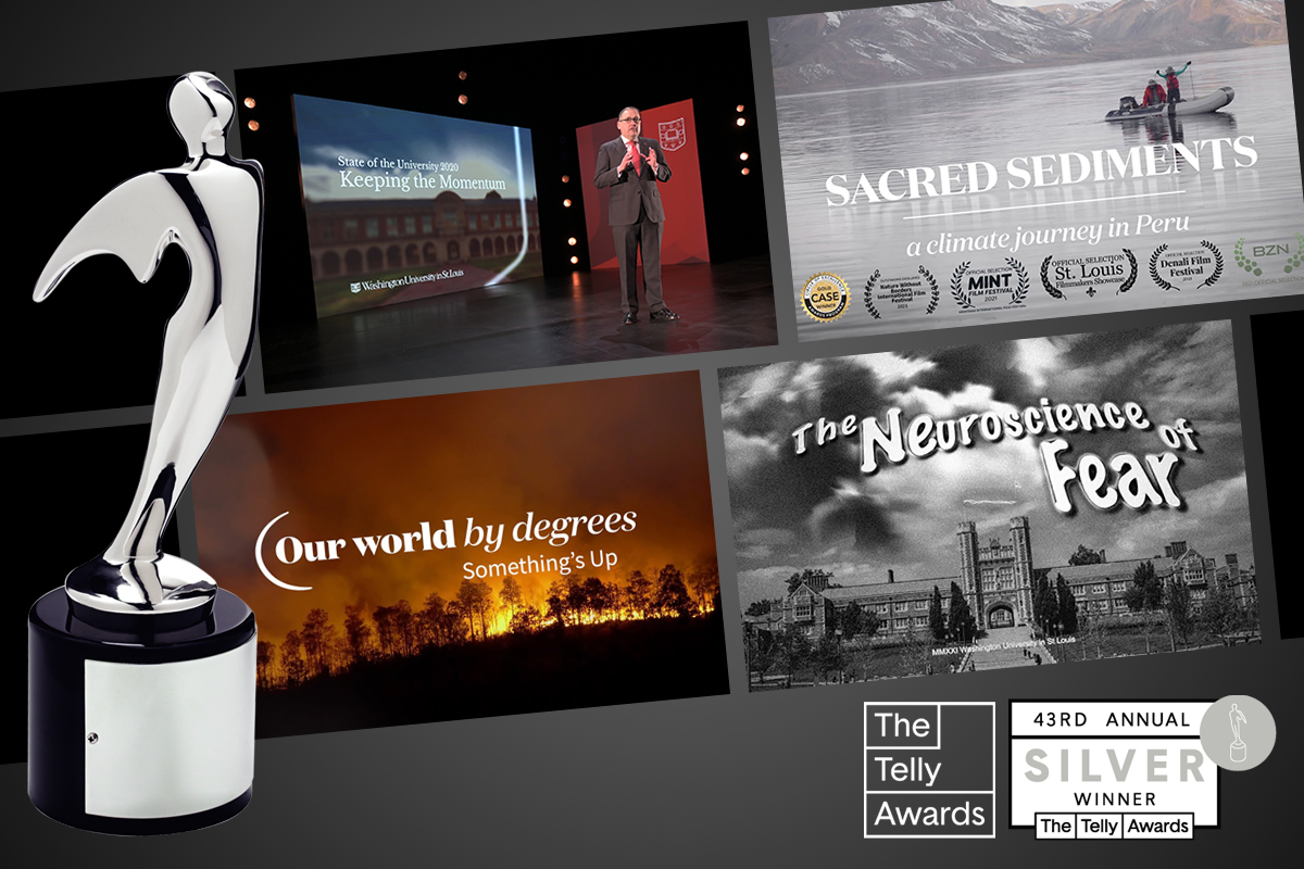 Marketing, communications team wins eight Silver Telly Awards - The ...