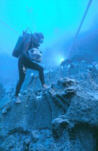 Findings from 3,000-year-old Uluburun shipwreck reveal complex trade ...