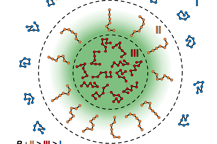 Interfaces play important role in condensate behavior - The Source - WashU