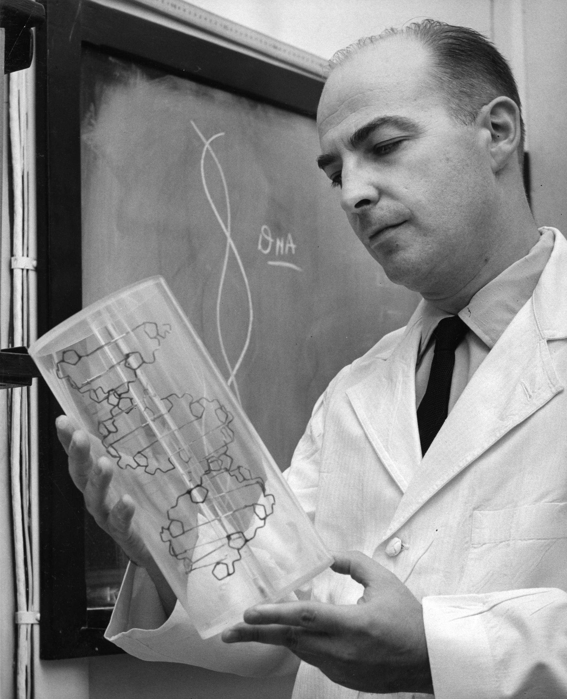 Celebrating 170 years, noting many sevens - The Source - WashU