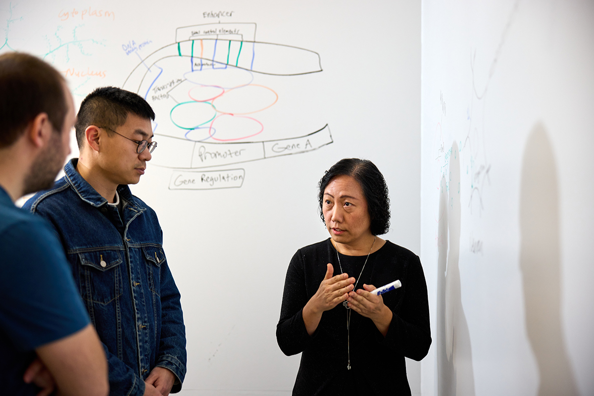 WashU Medicine reaches new heights as it climbs to No. 3 in NIH ...