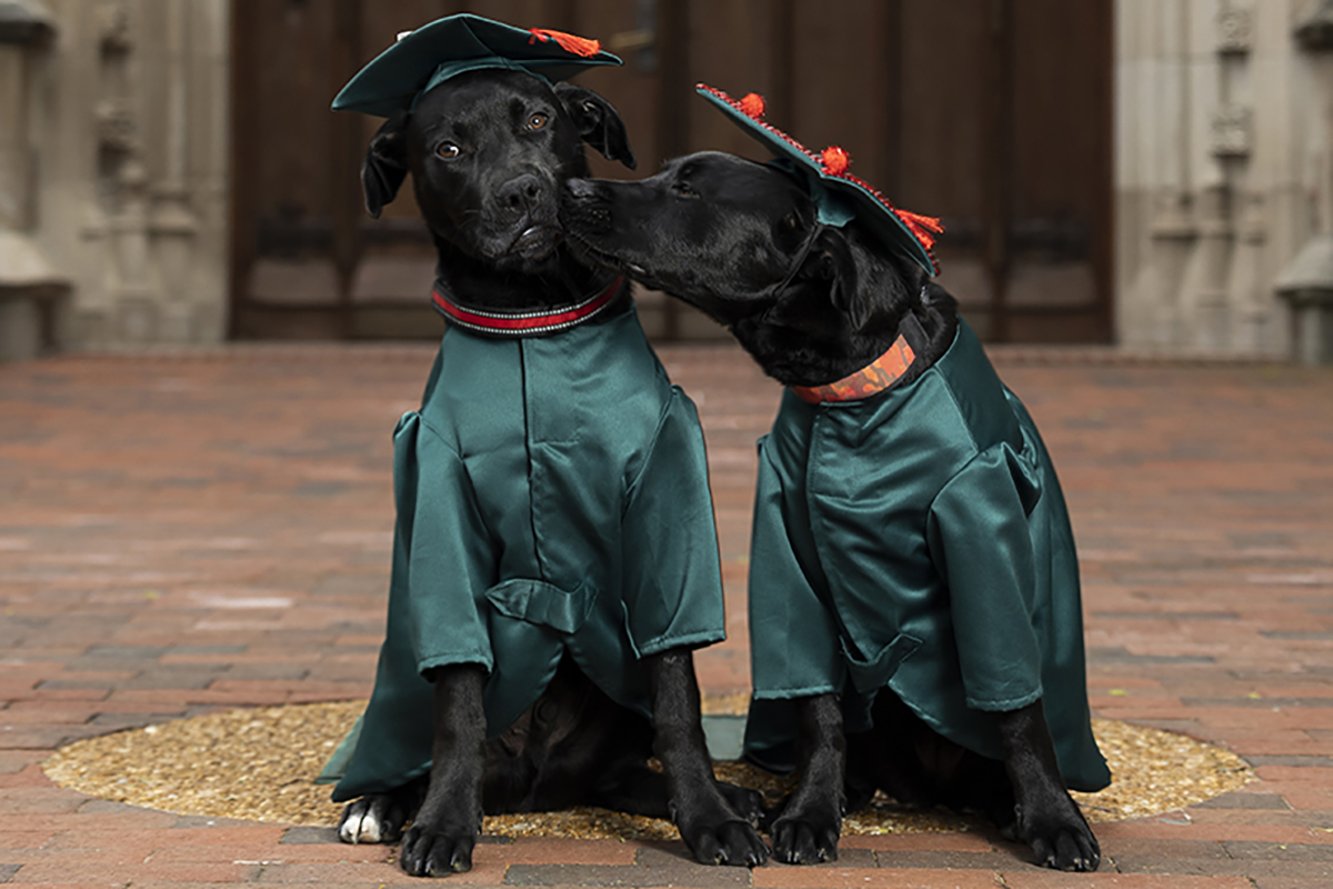 2023 in review: A look back at top stories - The Source - WashU