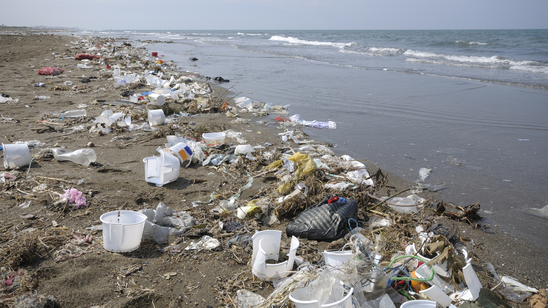 Engineering team receives $3.6M to combat plastic waste - The Source ...