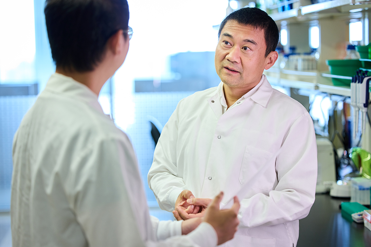 Wang, nationally recognized geneticist, named head of genetics - The Source - WashU