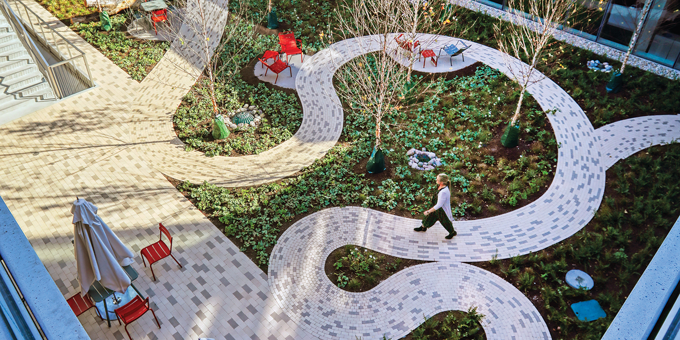 Paths cleared and futures revealed - The Source - Washington University ...