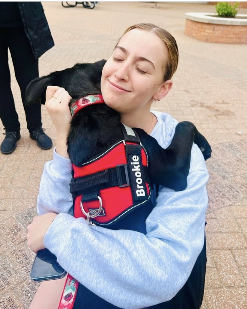 Comfort dogs Bear and Brookie are ready to help – one cuddle at a time - The Source - WashU