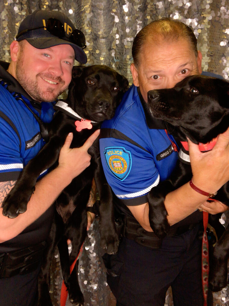 Comfort dogs Bear and Brookie are ready to help – one cuddle at a time ...