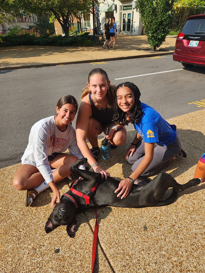 Comfort dogs Bear and Brookie are ready to help – one cuddle at a time ...
