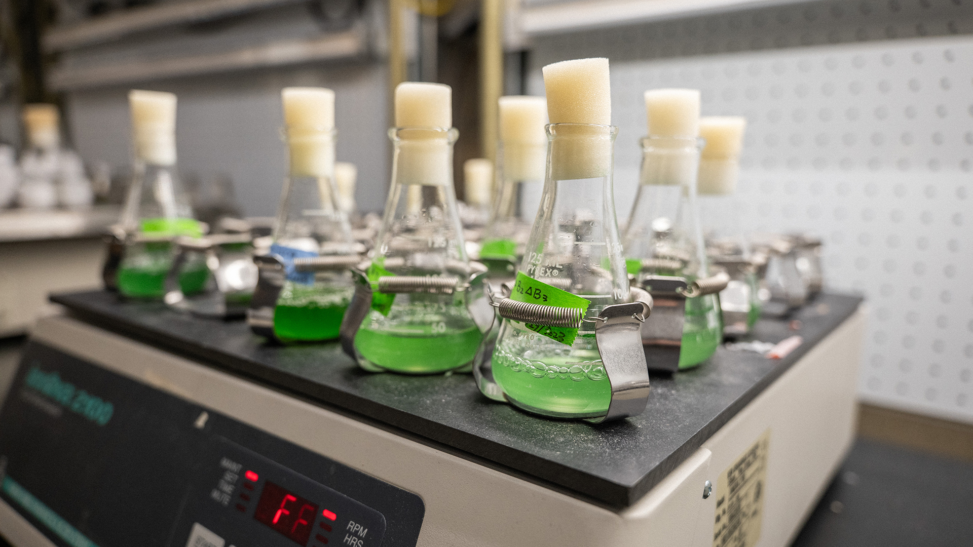 Grant funds green fertilizer research at WashU - The Source - WashU