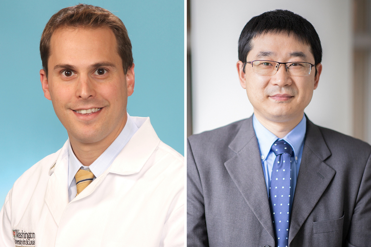 Noninvasive technique helps visualize inflammatory cells in human heart ...