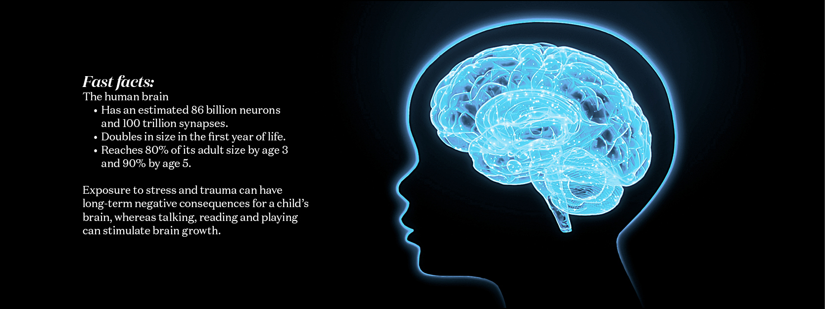Navigate the neurosciences at WashU Medicine - The Source - Washington ...