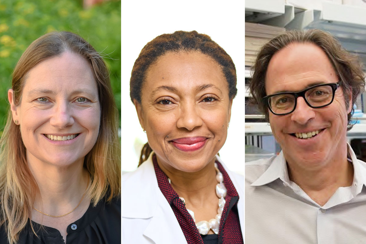 Dickson, Khabele, Longmore elected to Association of American Physicians - The Source - WashU