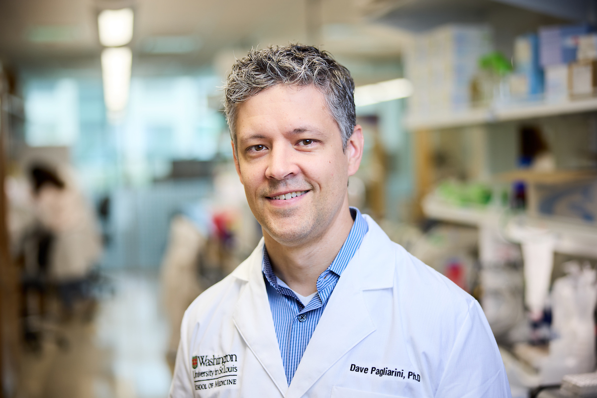 Pagliarini named HHMI Investigator - The Source - WashU