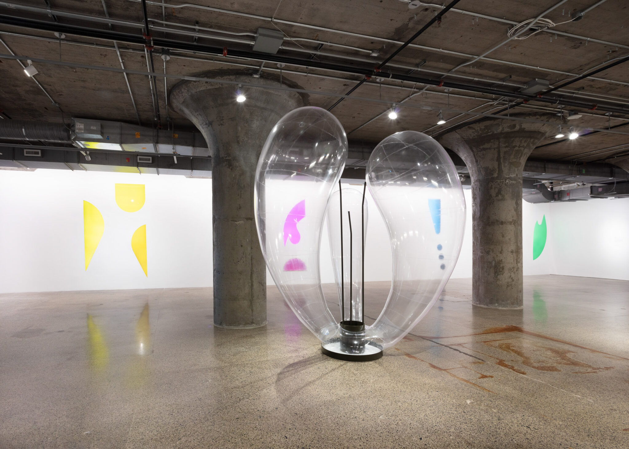‘Seeds: Containers of a World to Come’ at Kemper Art Museum - The ...
