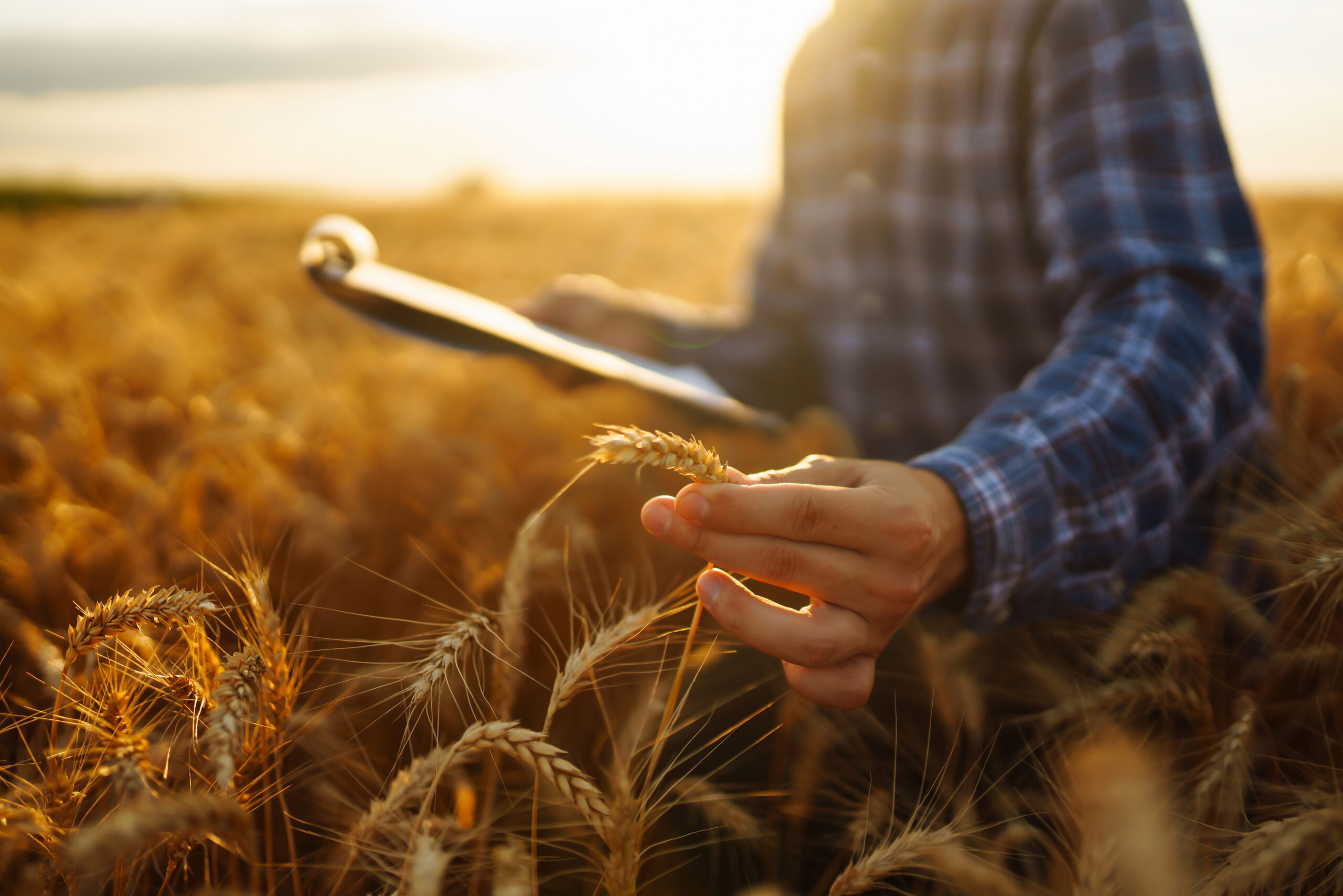 WashU launches FARM to drive food system transformation - The Source ...